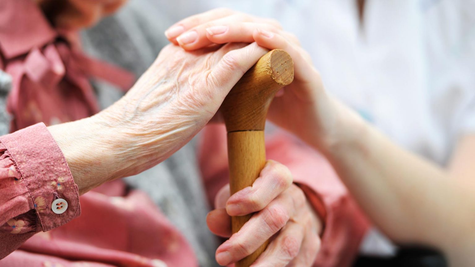 Gerontology Minor | Gain Expertise in Senior Care and Aging