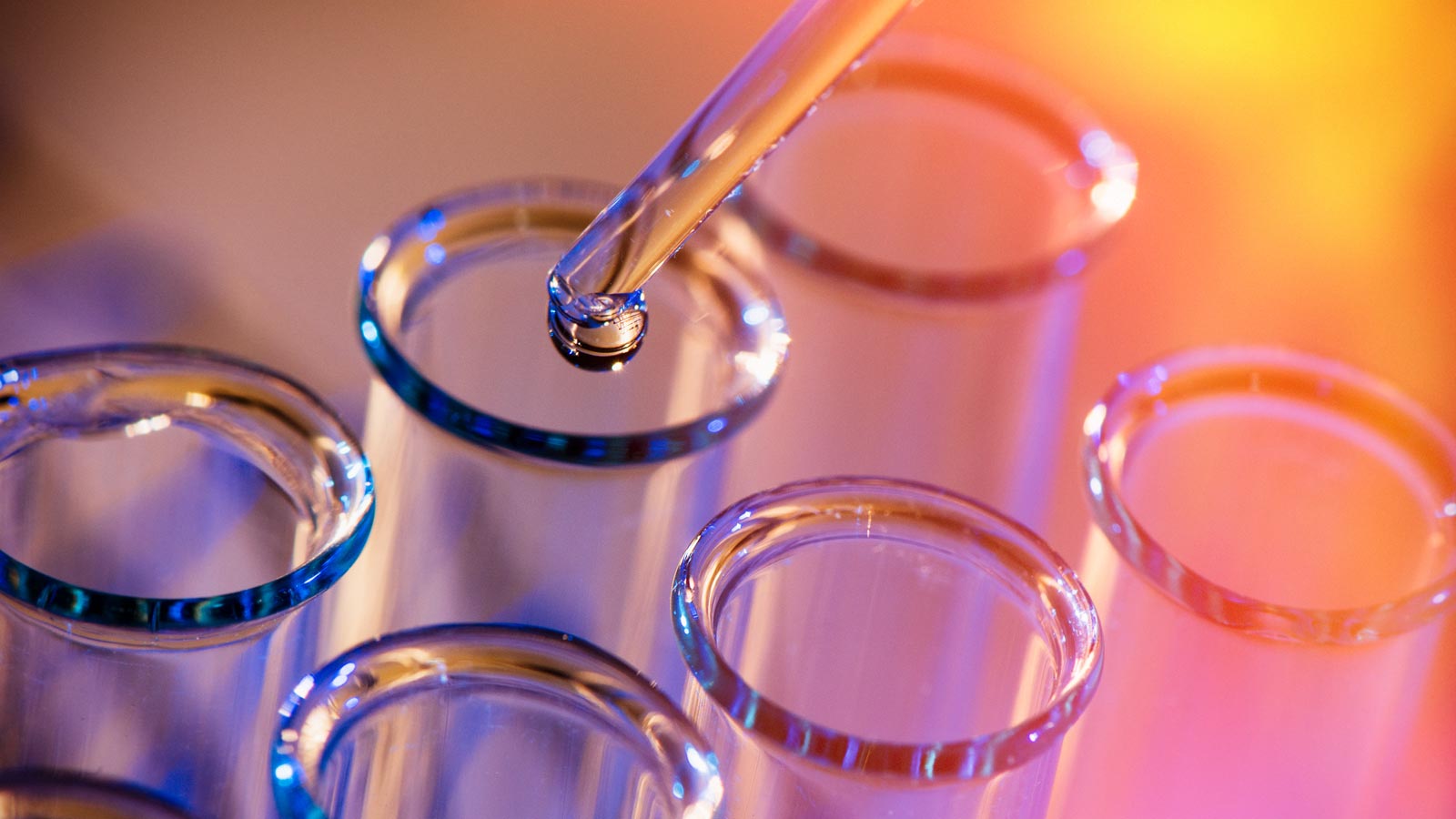 Pre-Medicine Program | Pre-Med Degree